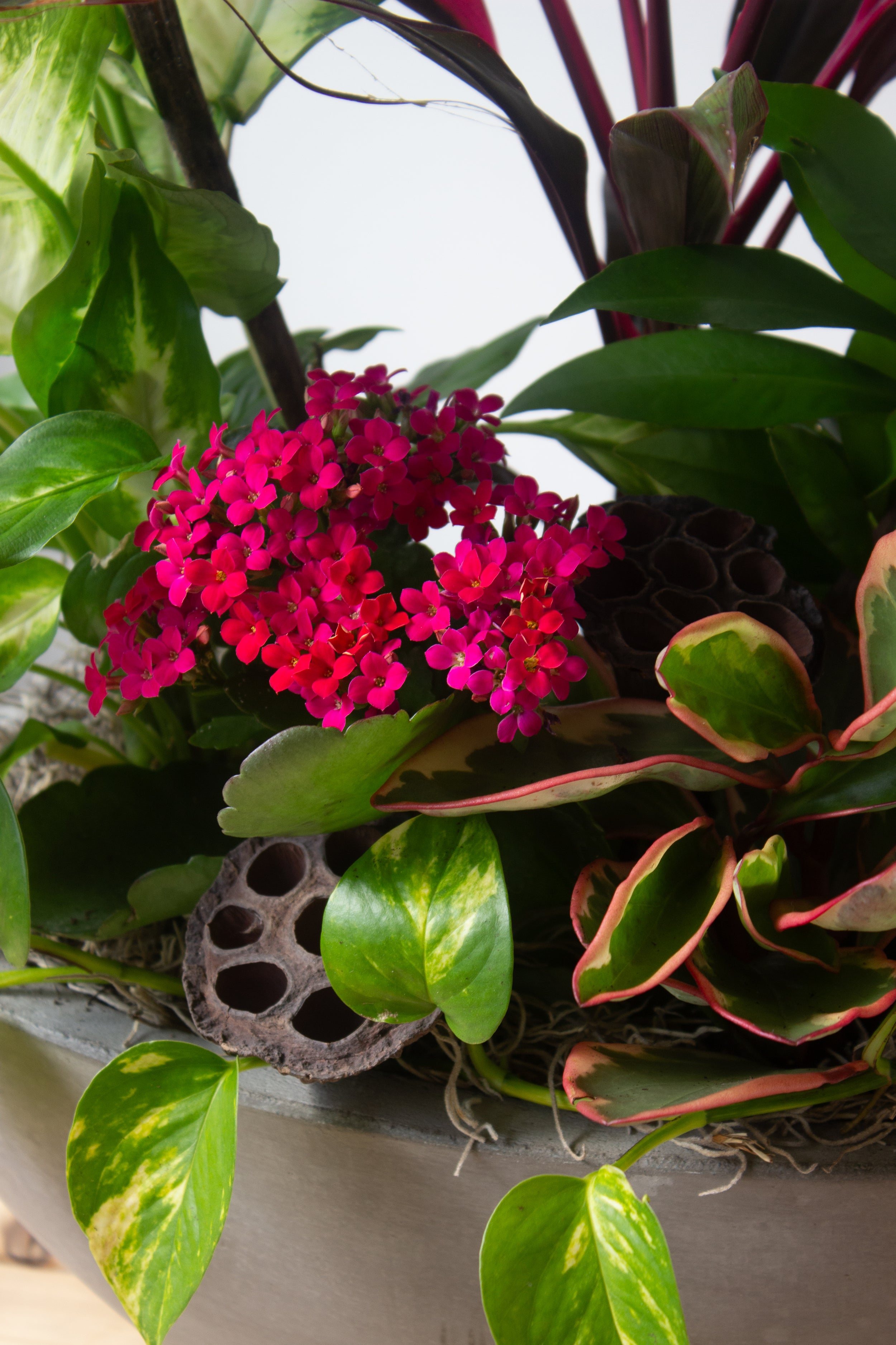 Jay's Garden – Jay's Garden Flower Market